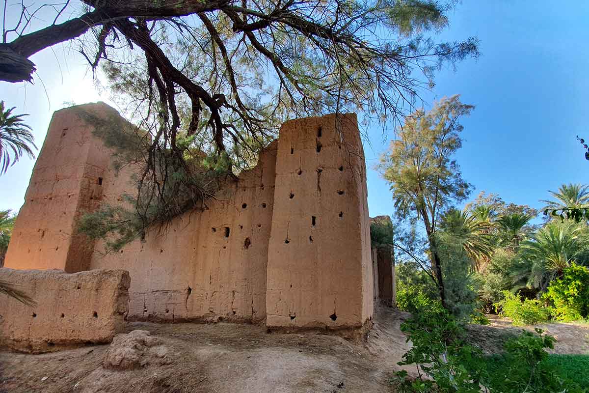The palm grove of Skoura, the quintessential oasis